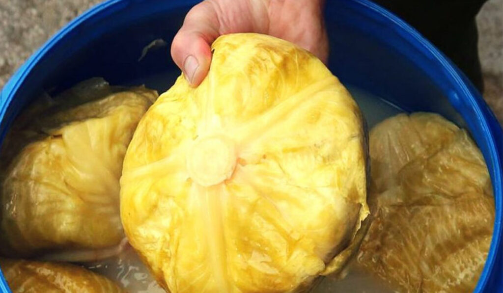 Medicii spun sa bei zeama de varza timp de 7 zile. Iata care sunt ...